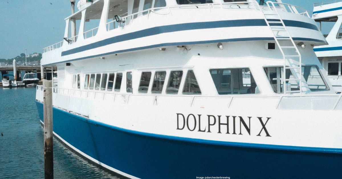 Cape Cod Whale Watching: Adventures from Provincetown - EveryQueer